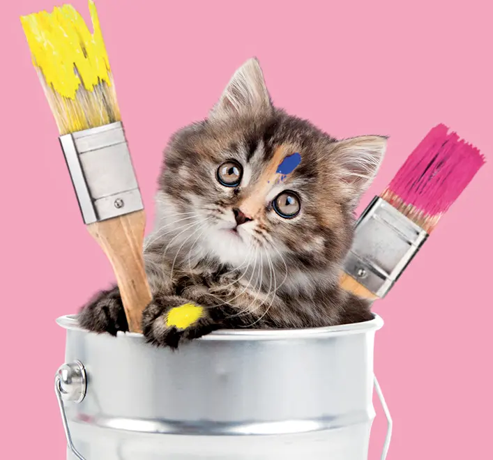 Studio Pets modellen